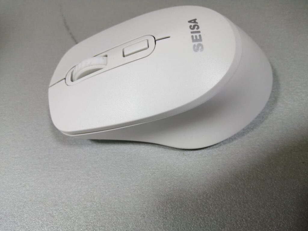 Mouse Inalambrico Seisa DN-W170 Blanco – ECCOM