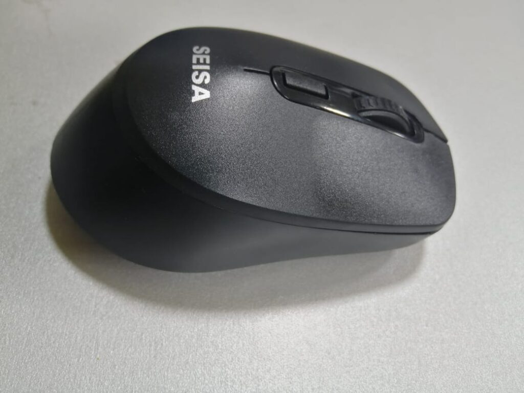 Mouse Inalambrico Seisa DN-W170 Negro – ECCOM